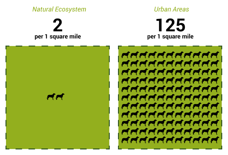 So Just How Much Dog Poop Is In Asheville So Just How Much Dog Poop Is In Asheville