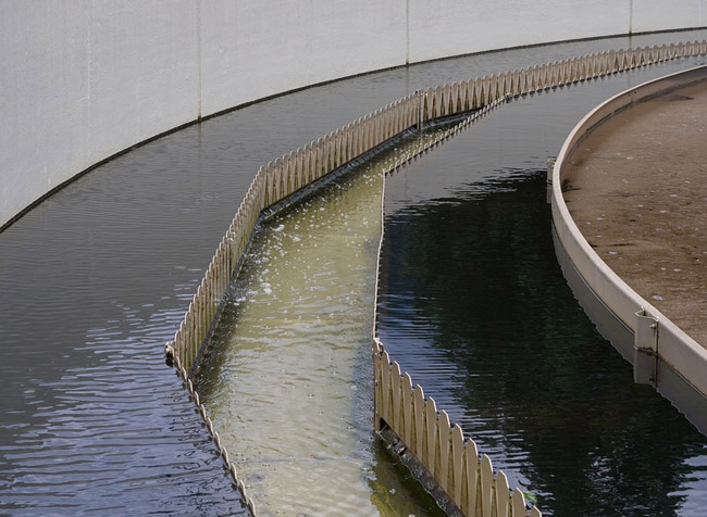 POOP – Is it smart to BAG IT? – Eye Opening Truth